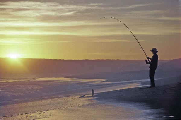 Top 5 Beaches for Surfperch Fishing in Northern California • Fishing Duo