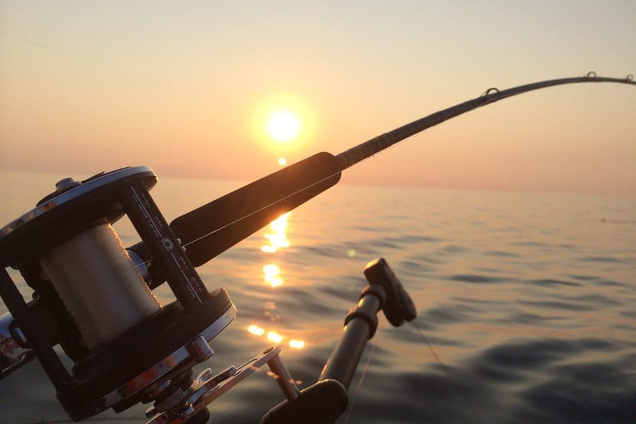 Trolling Perfection: Best Speeds for 11 Popular Game Fish • Fishing Duo