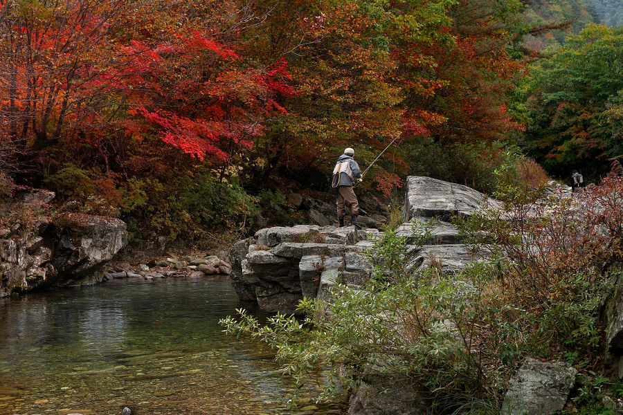 Catching Big Trout In Small Streams: A Definitive Guide • Fishing Duo