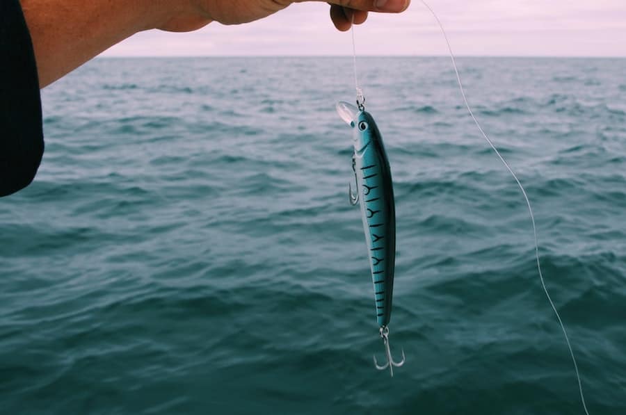 11 Best Surf Fishing Lures You Need to Try • Fishing Duo