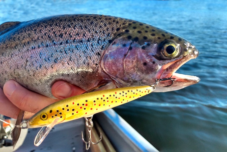 Best Trolling Lures For Trout That Outperform All Others • Fishing Duo