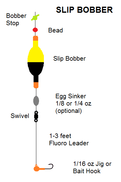 The Only Bobber Fishing Guide You’ll Ever Need • Fishing Duo