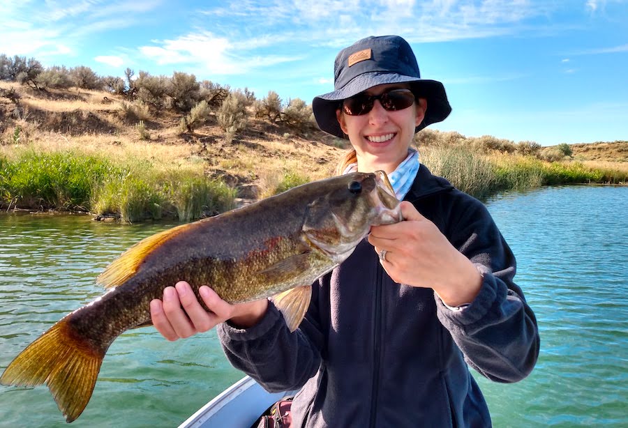 9 Best Smallmouth Bass Lures That Won’t Let You Down • Fishing Duo