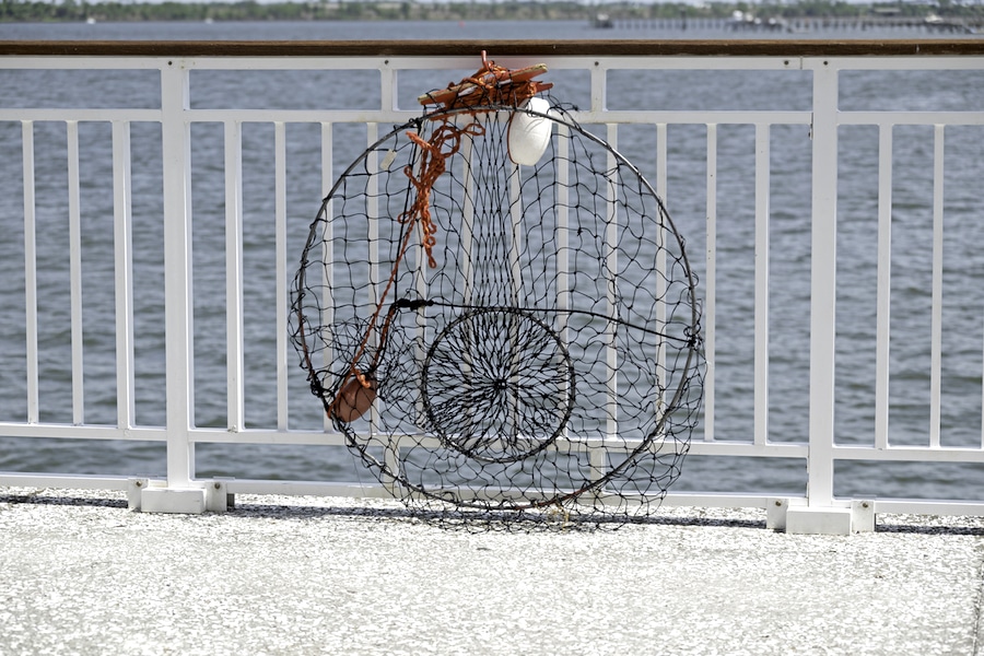 Can You Bring Fish Back To The US From Canada • Fishing Duo